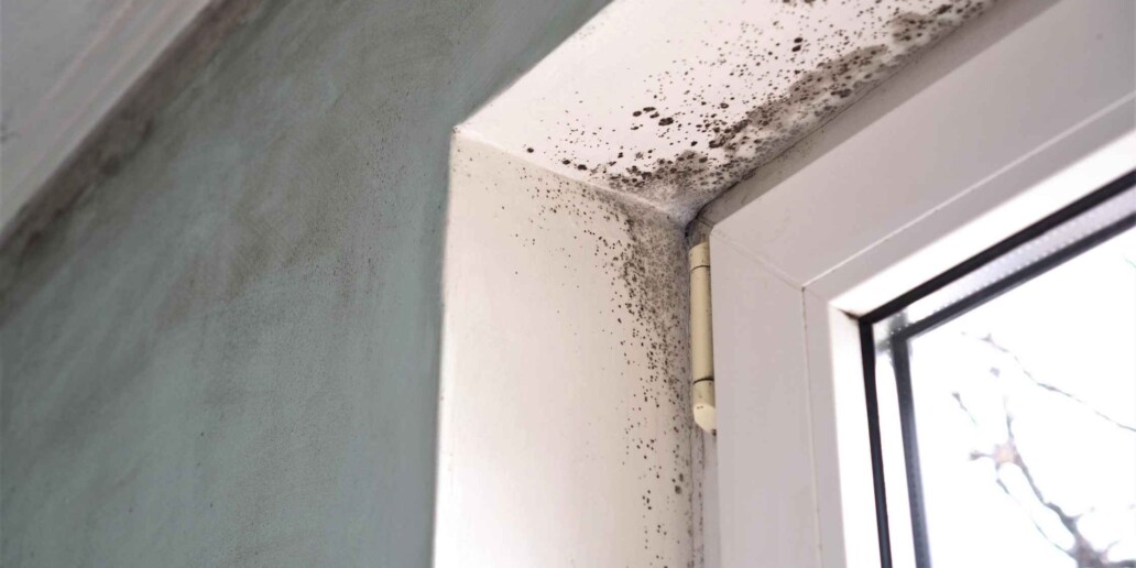 Remove mould from walls? This is how to do it properly